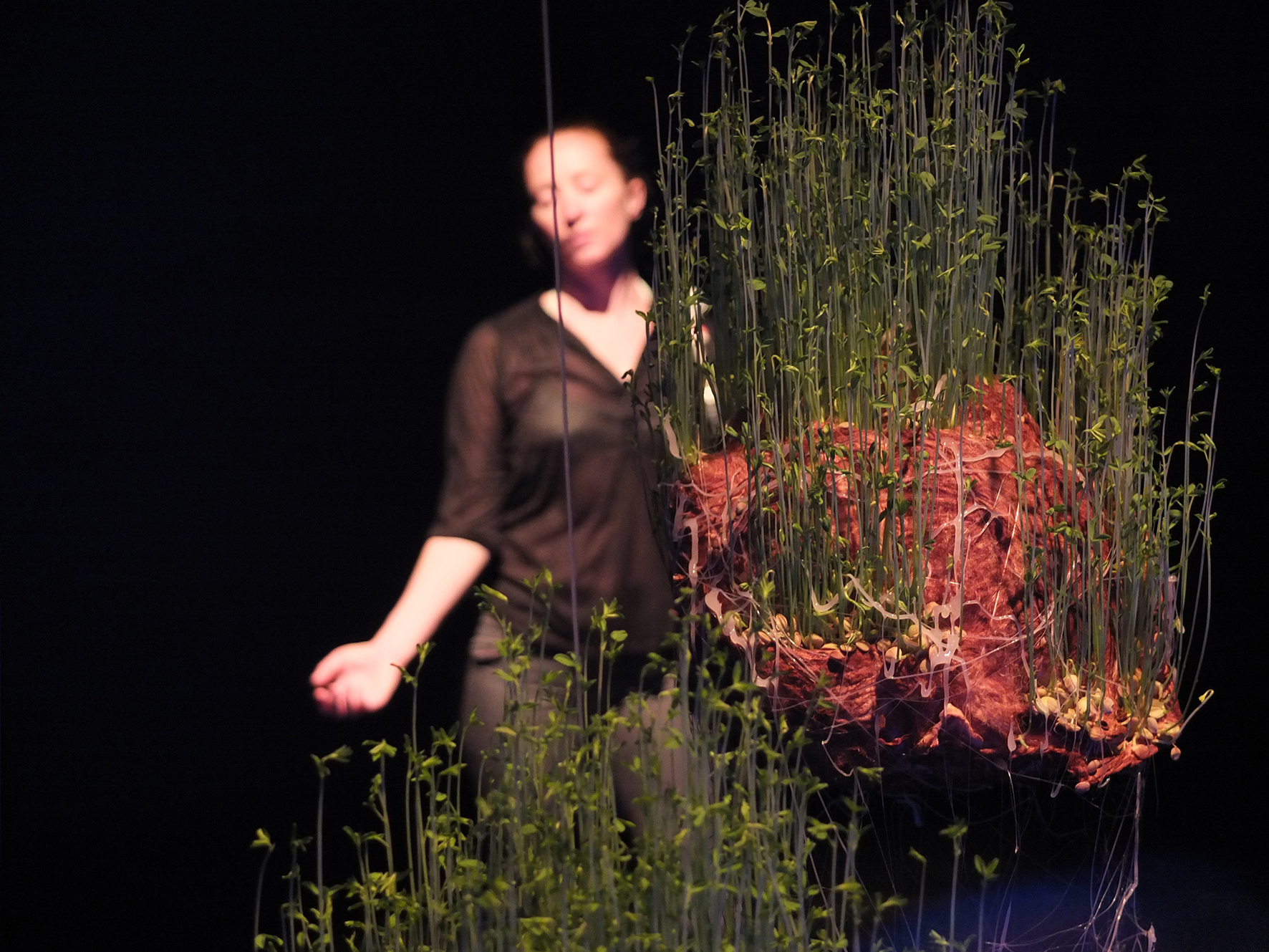 mush:room - liquid loft • chris haring